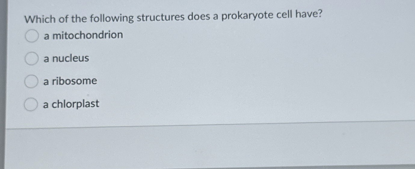 Solved Which of the following structures does a prokaryote | Chegg.com