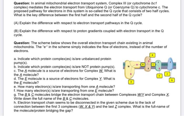 Solved Question: In animal mitochondrial electron transport | Chegg.com