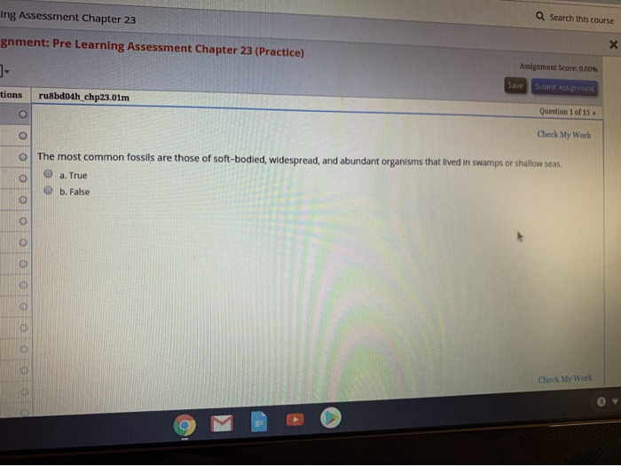 Solved Search this course ng Assessment Chapter 23 inment: | Chegg.com