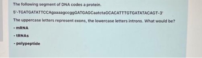 Solved The following segment of DNA codes a protein. | Chegg.com