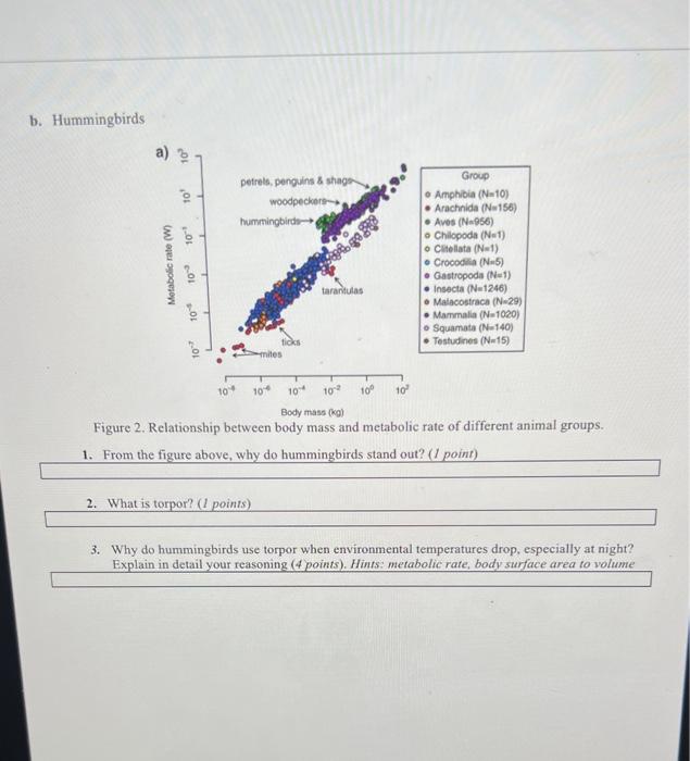 Solved b. Hummingbirds Figure 2. Relationship between body | Chegg.com