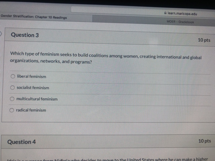 Solved Gender Stratification: Chapter 10 Readings | Chegg.com
