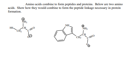 Solved Amino acids combine to form peptides and proteins. | Chegg.com