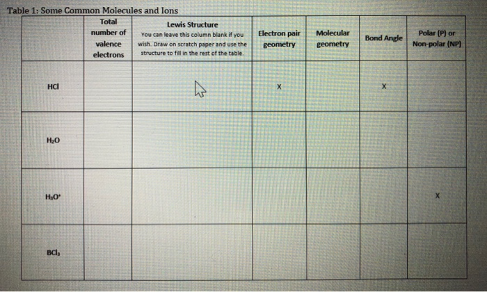 Solved MOLECULAR MODELING: A Study Assignment Pre-Lab | Chegg.com