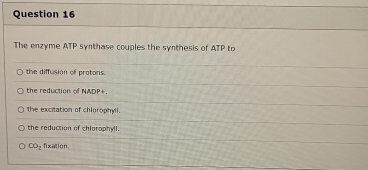 Solved Question 16The enzyme ATP synthase couples the | Chegg.com