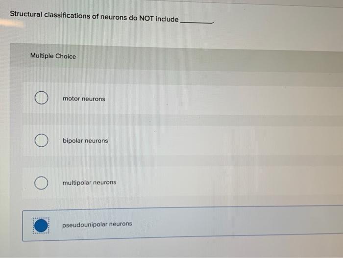 Solved Structural classifications of neurons do NOT include | Chegg.com