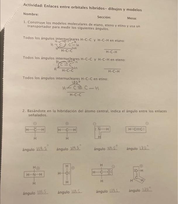 Solved 1. Construye los modelos moleculares de etano, eteno | Chegg.com