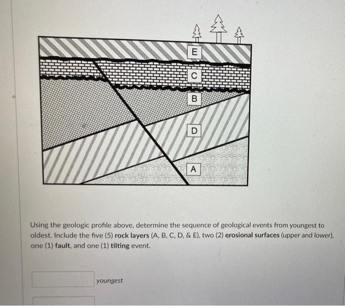 Solved wtwo E B D А Using the geologic profile above, | Chegg.com