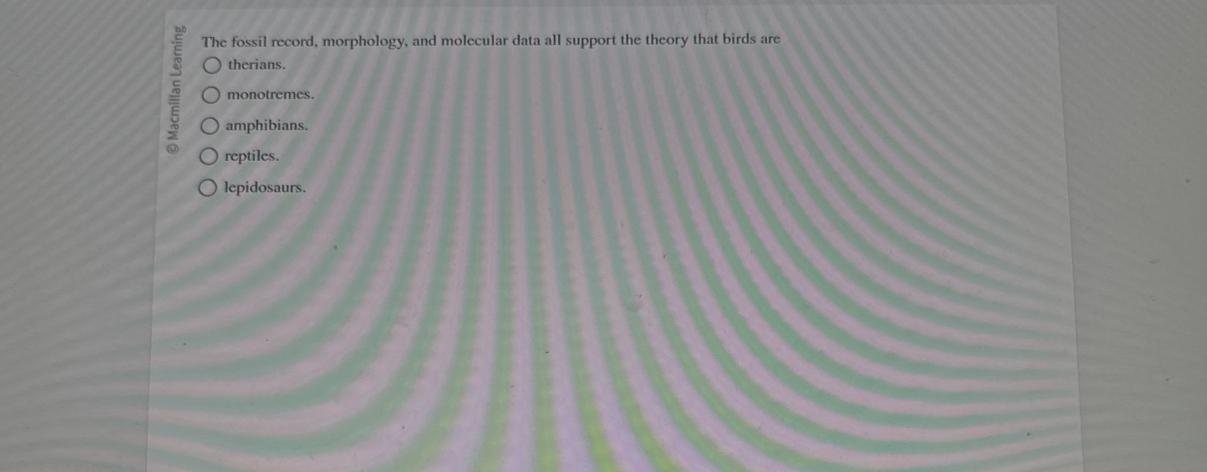 Solved The fossil record, morphology, and molecular data all | Chegg.com