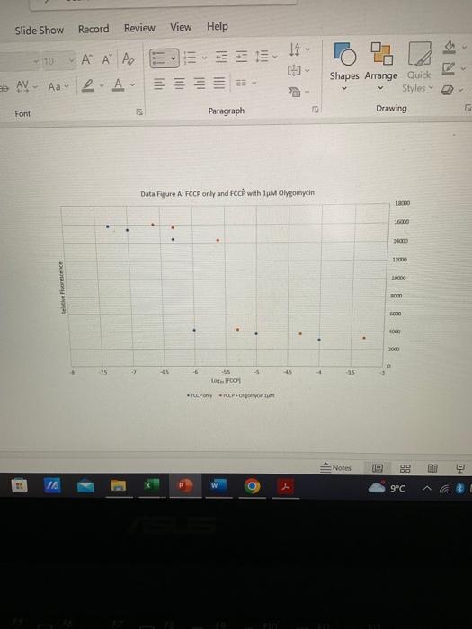 Slideshow Record Review View Help 2. fontlilıllTMAE | Chegg.com