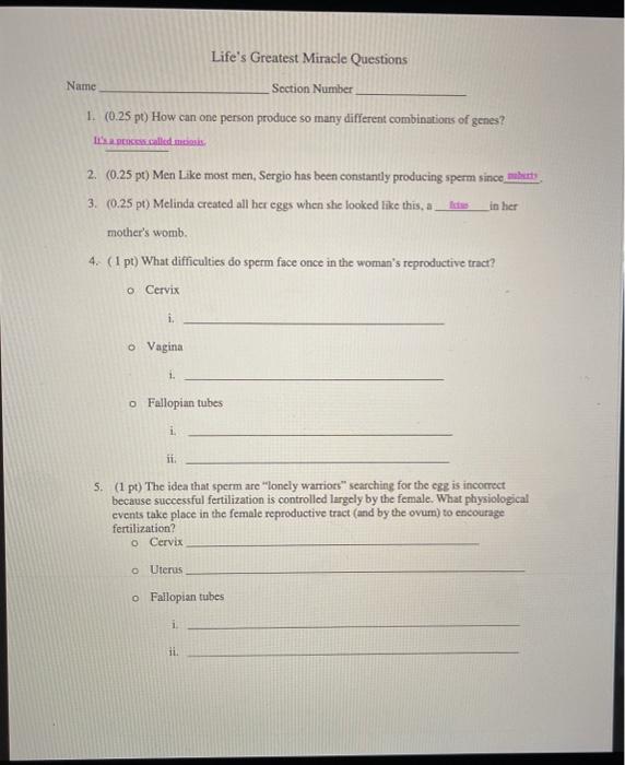 Solved Name Life's Greatest Miracle Questions Section Number | Chegg.com