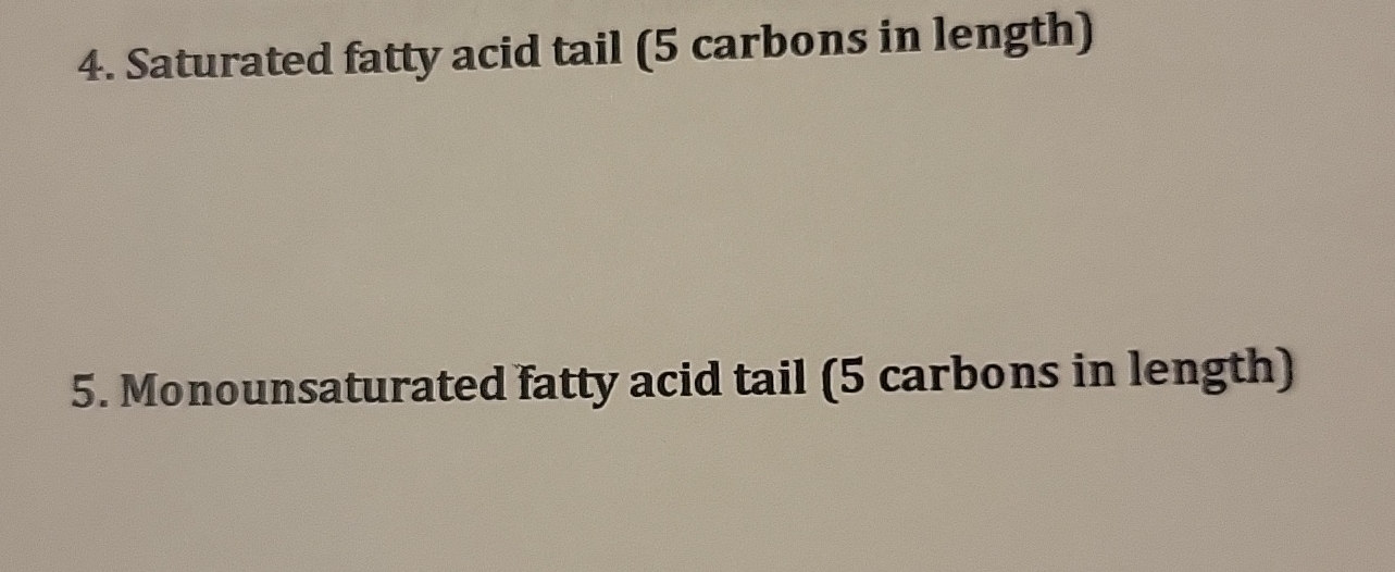 Solved Saturated fatty acid tail (5 ﻿carbons in | Chegg.com