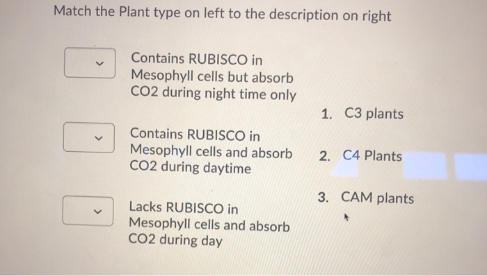 Solved When The RUBISCO enzyme in plants uses Oxygen instead | Chegg.com