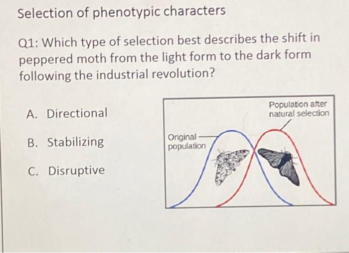 Solved Selection of phenotypic characters Q1: Which type of | Chegg.com