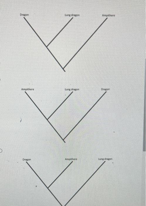 Solved Consider the character matrix shown below. Which tree | Chegg.com