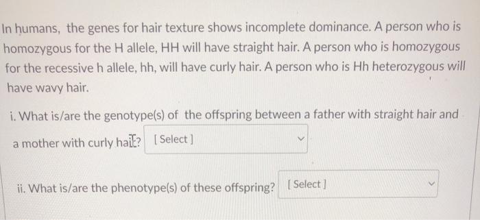 Solved In humans, the genes for hair texture shows | Chegg.com