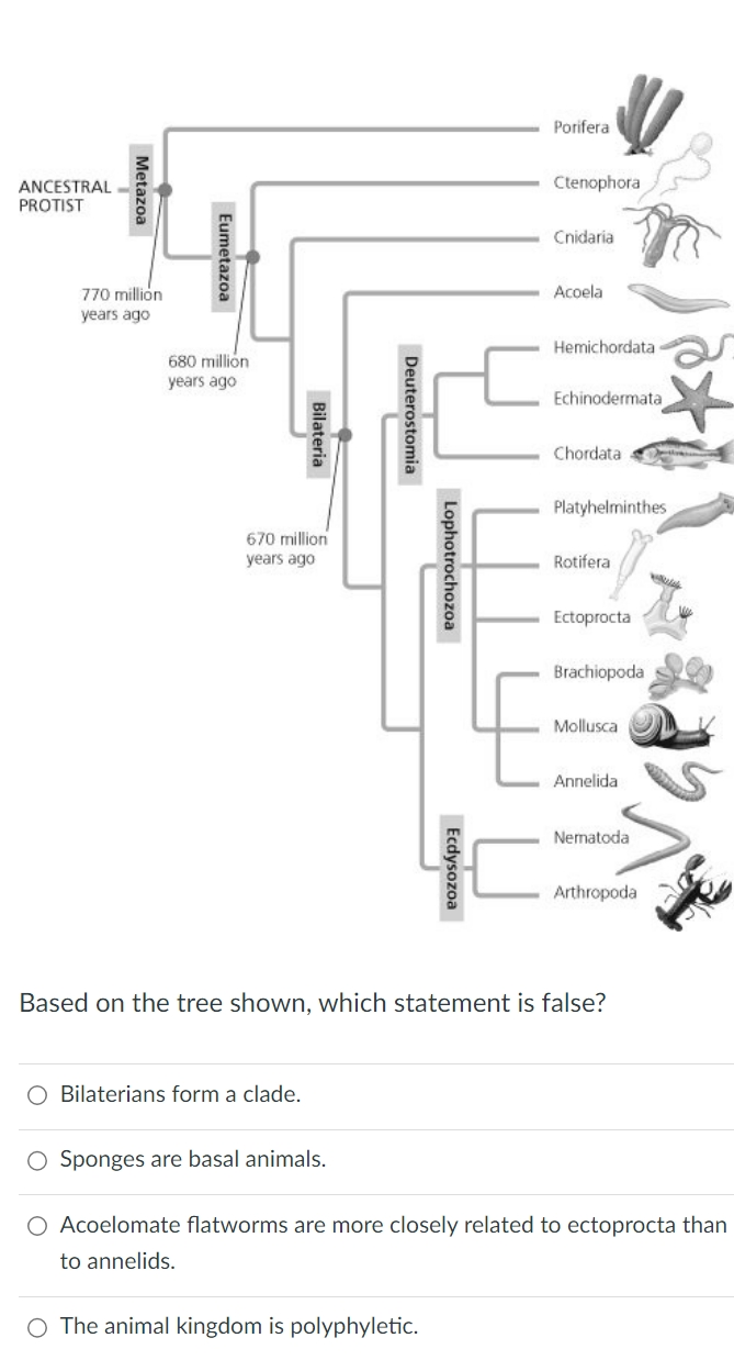Solved Based on the tree shown, which statement is | Chegg.com