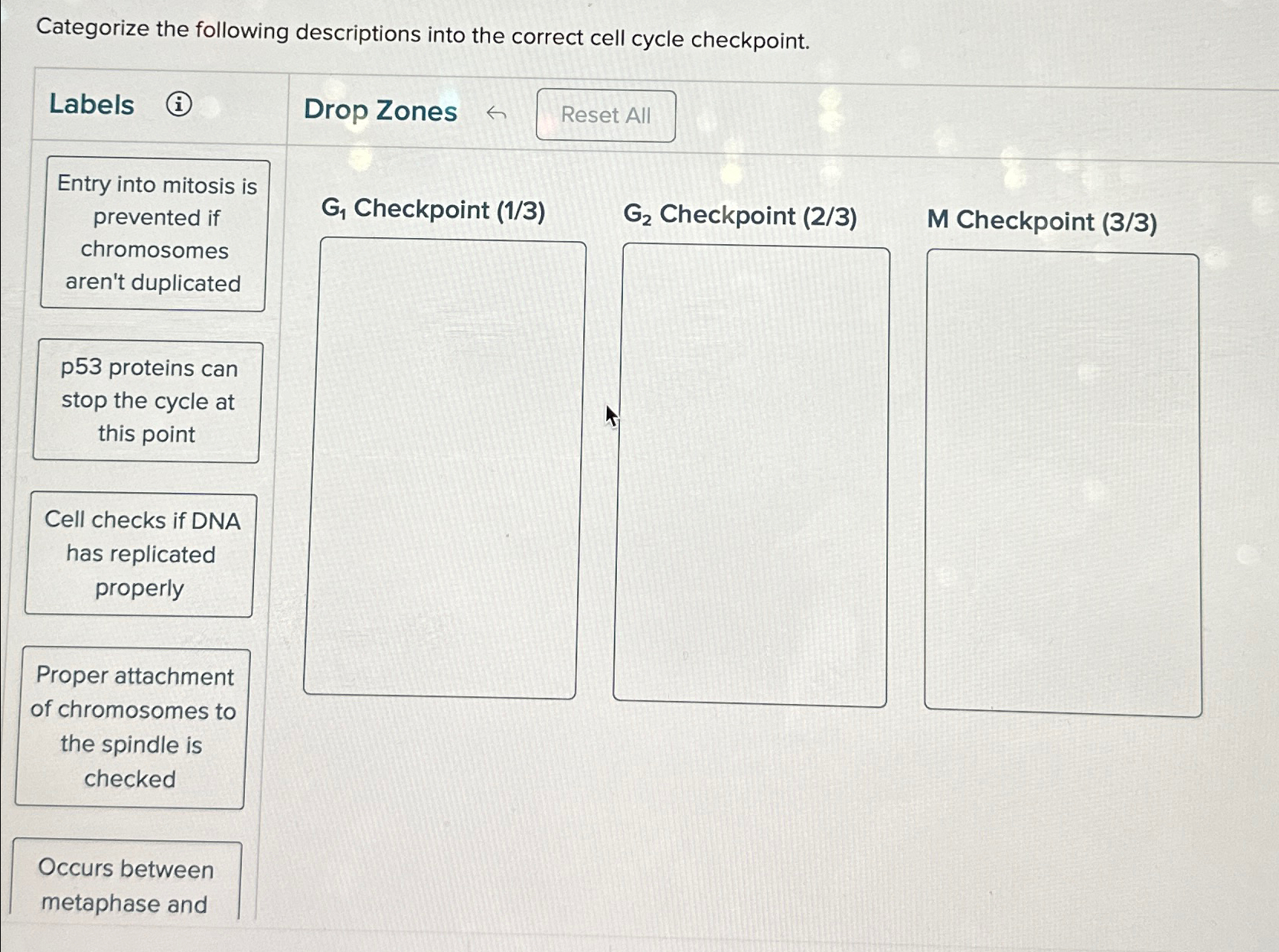 Solved Categorize the following descriptions into the | Chegg.com