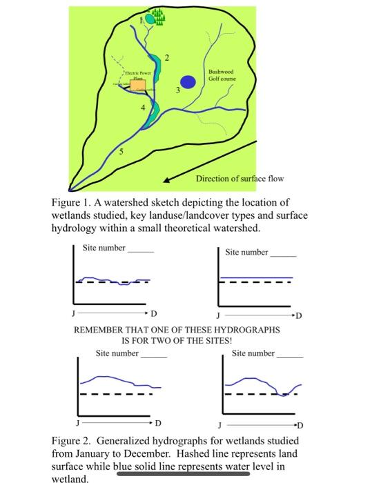 Match the data (hydrographs and general site | Chegg.com
