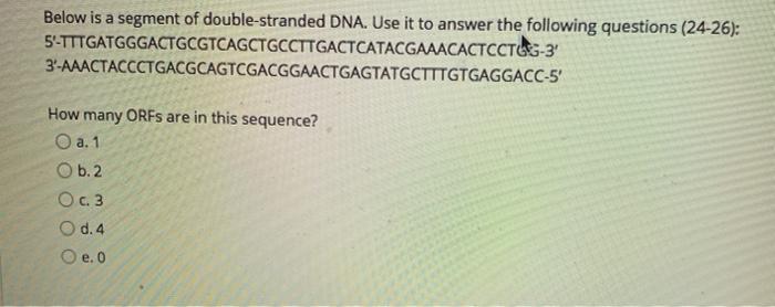 Solved Below is a segment of double-stranded DNA. Use it to | Chegg.com
