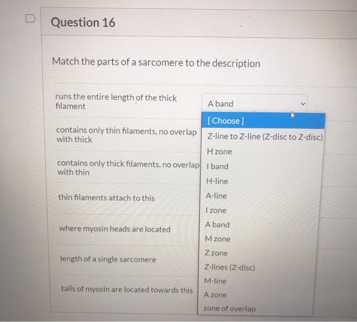 Solved Question 4 Match the following types of synovial | Chegg.com