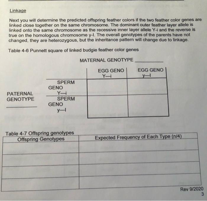 Solved Table 4-8 Offspring phenotypes Offspring Phenotypes | Chegg.com