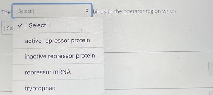 binds to the operator region when [Sel [ Select ] | Chegg.com