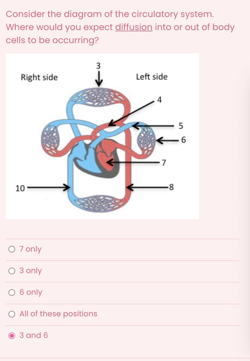 Solved Consider the diagram of the circulatory system.Where | Chegg.com