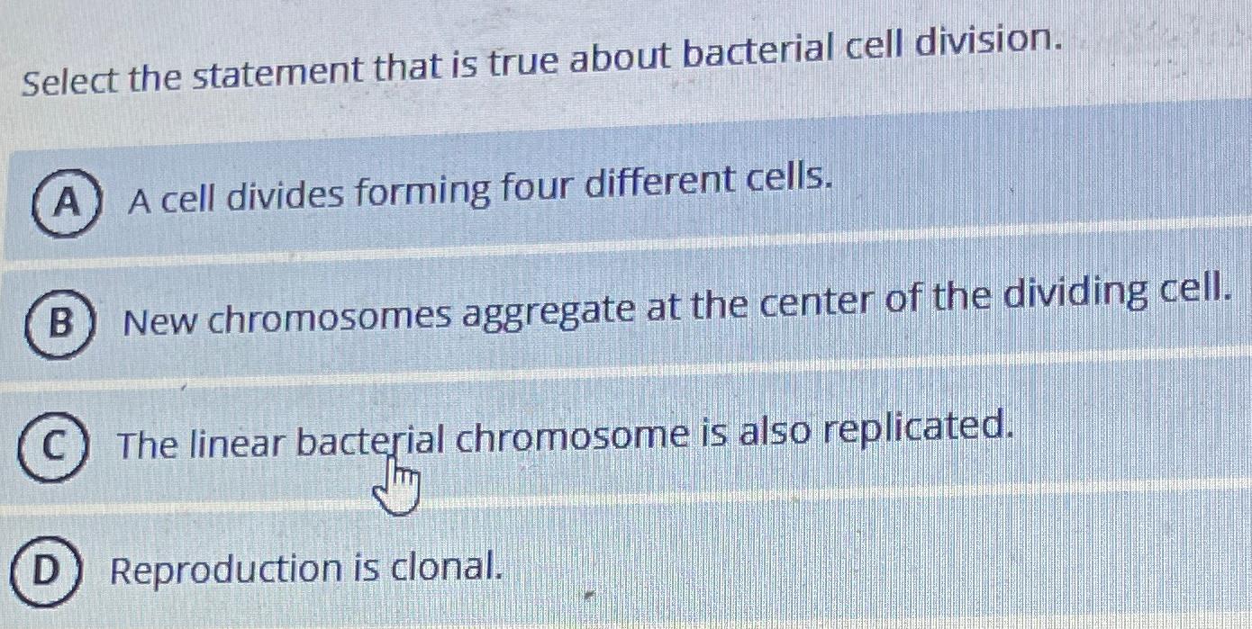 Solved Select the statement that is true about bacterial | Chegg.com