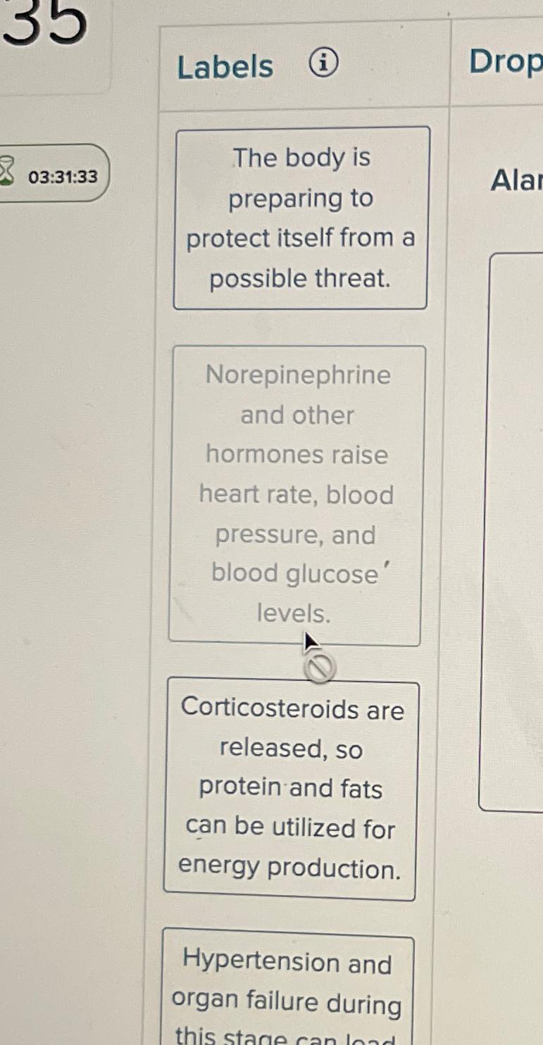 Solved Labels(i)Drop03:31:33The body is preparing to protect | Chegg.com
