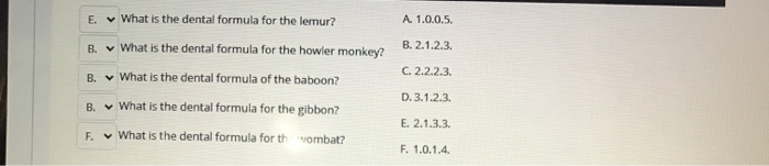 Solved A 1.0.0.5. B. 2.1.2.3. E. What is the dental formula | Chegg.com