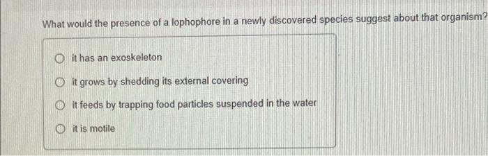 Solved Which of the following statements describes sponges? | Chegg.com