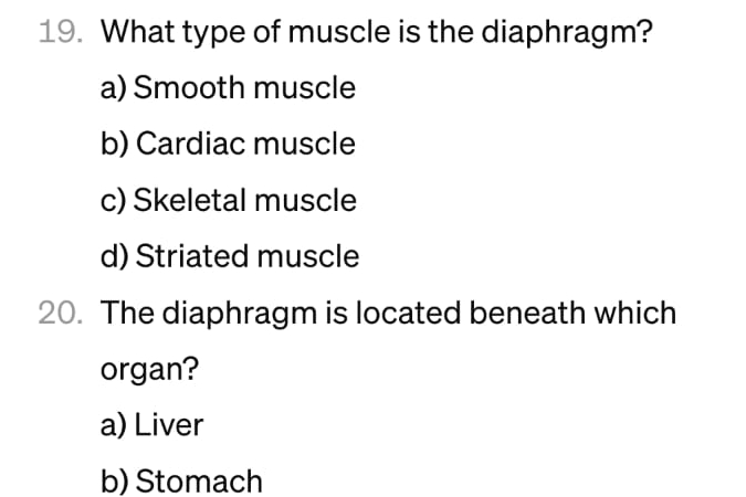 Solved What type of muscle is the diaphragm?a) ﻿Smooth | Chegg.com
