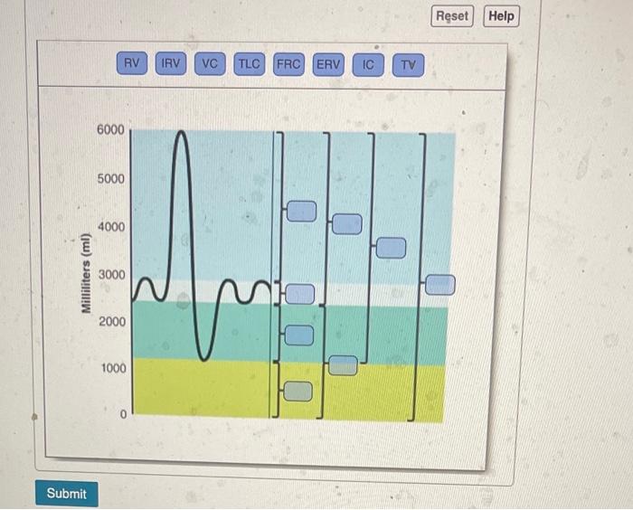 Solved Reset Help RV IRV VC TLC FRC ERV IC TV 6000 5000 4000 | Chegg.com
