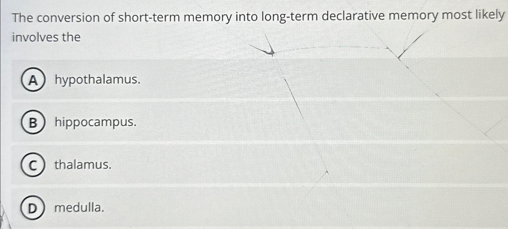 Solved The conversion of short-term memory into long-term | Chegg.com
