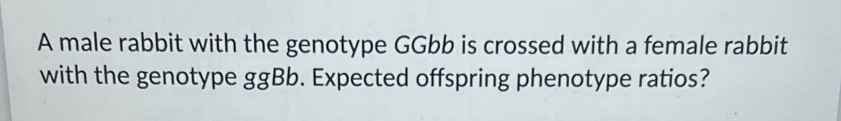Solved A male rabbit with the genotype GGbb is crossed with | Chegg.com