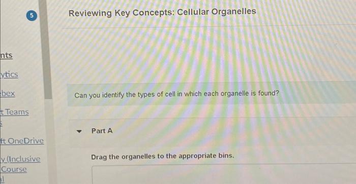 5 Reviewing Key Concepts: Cellular Organelles Can you | Chegg.com
