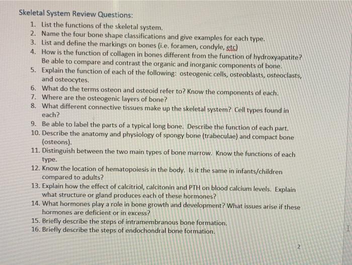 Solved Skeletal System Review Questions: 1. List the | Chegg.com