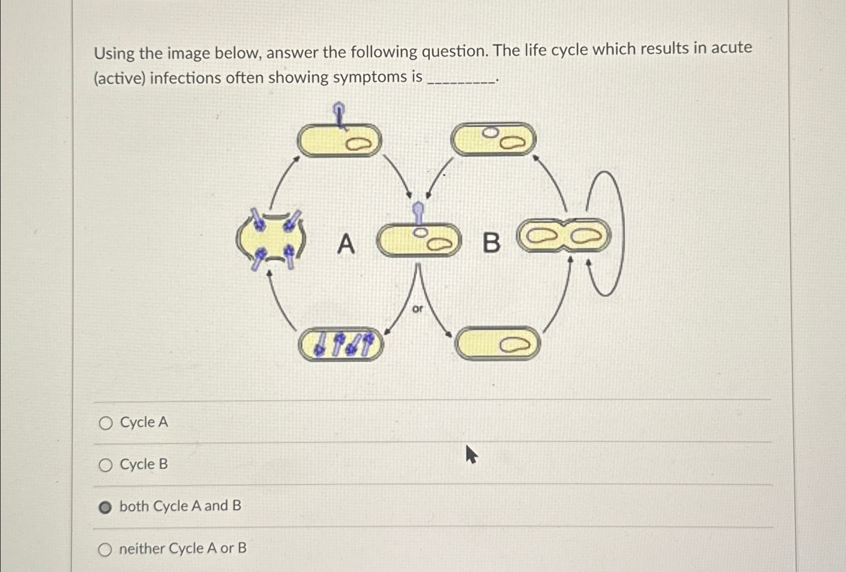 Using the image below, answer the following question. | Chegg.com