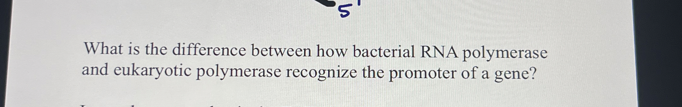 Solved What is the difference between how bacterial RNA | Chegg.com