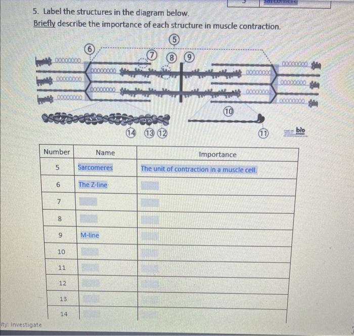 Solved 5. Label the structures in the diagram below. Briefly | Chegg.com