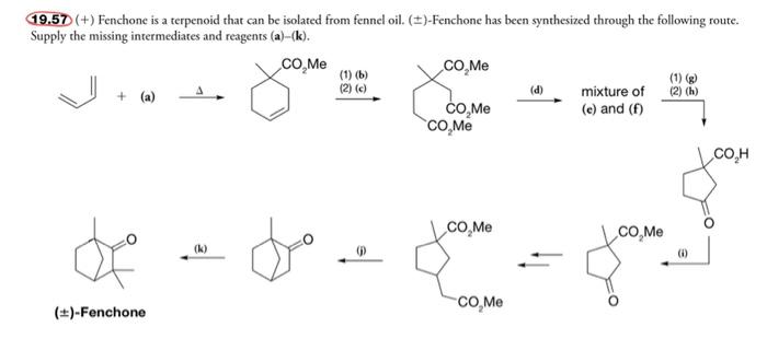 Solved 19.57 (+) Fenchone is a terpenoid that can be | Chegg.com