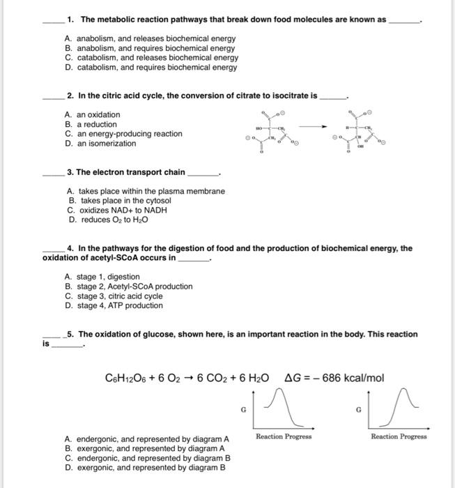 Solved 1. The metabolic reaction pathways that break down | Chegg.com