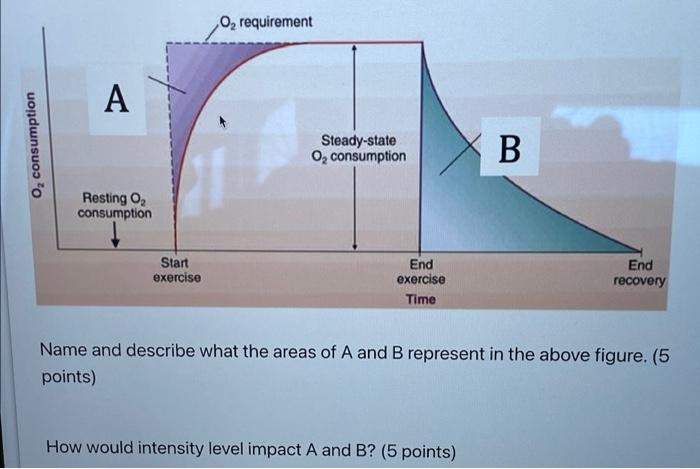 Solved O, requirement A o, consumption Steady-state O, | Chegg.com