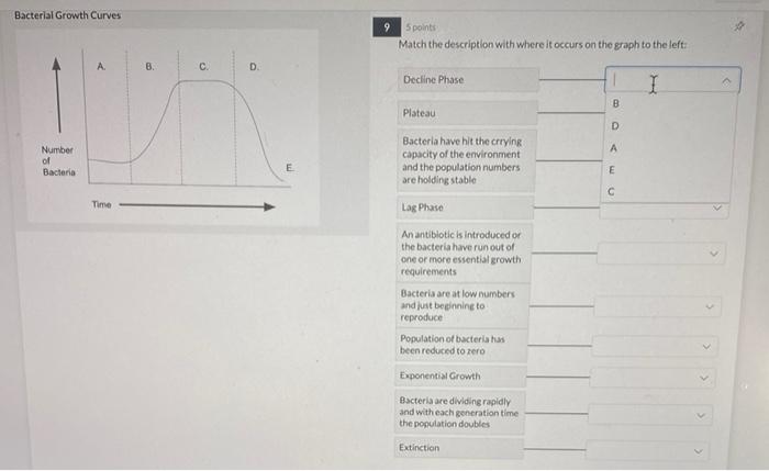 Solved Bacterial Growth Curves 9 Spoints Match the | Chegg.com