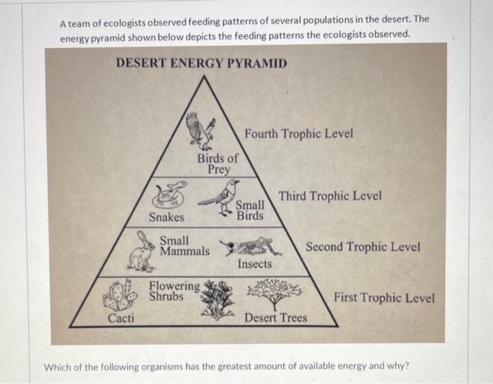 Solved A team of ecologists observed feeding patterns of | Chegg.com