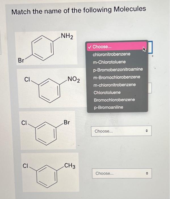 Solved Match The Name Of The Following Molecules