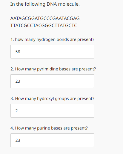 Solved In the following DNA | Chegg.com