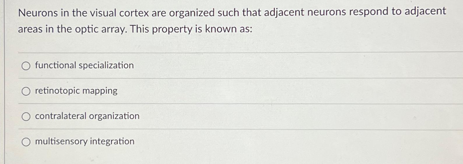 Solved Neurons in the visual cortex are organized such that | Chegg.com