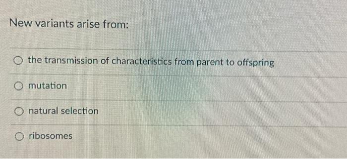 Solved Dolphins and sharks share a similar body shape, | Chegg.com